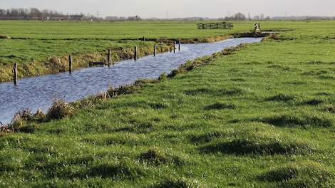 RIVM gaat aanwezigheid chloride en sulfaat in sloten beoordelen | Vee ...
