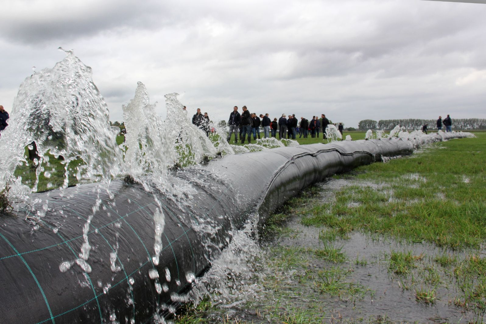 Fotoserie: ‘Muizen verdrinken is beste oplossing’ | Vee-en-Gewas.nl ...