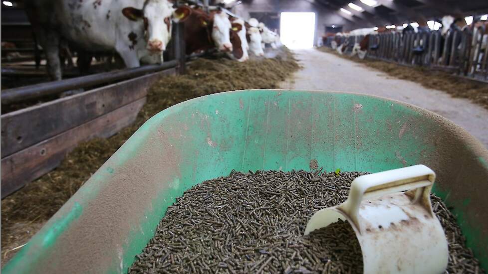 De Eendracht zet 14 procent meer veevoer af | Vee-en-Gewas.nl ...