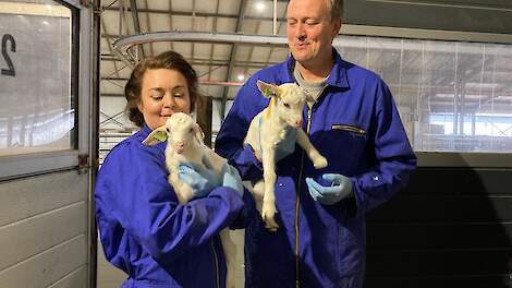 Gelderse geitenhouder te zien in nieuw RTL-programma ‘Wie de boer niet ...