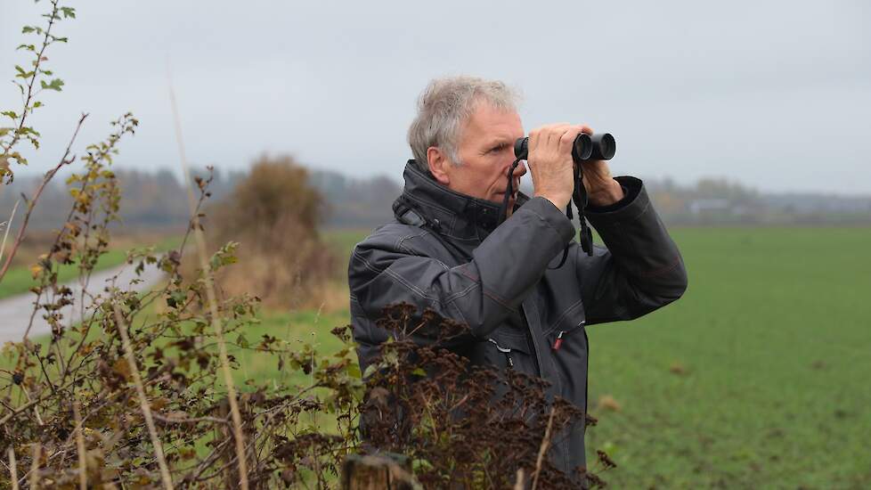 Onze Weidevogels › ‘Wees niet bang voor ruigte op en rond je akkers’ | Vee-en-Gewas.nl ...