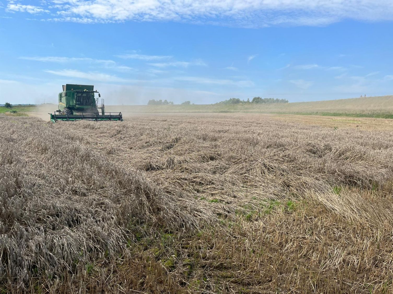 Combine eindelijk uit het vet: ruim 9 ton tarwe per hectare, brouwgerst ...