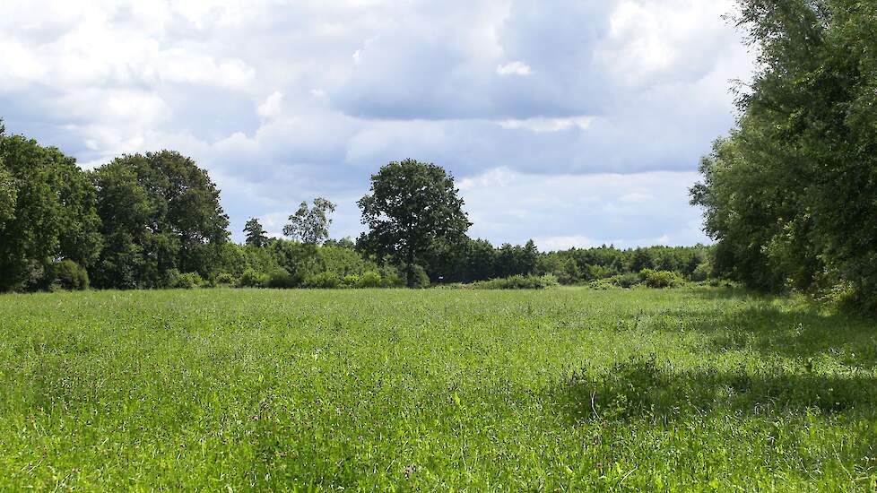 ZLTO, NMI en AgroCares werken samen met boeren aan tool voor inzicht in ... ZLTO, NMI en AgroCares werken samen met boeren aan tool voor inzicht in ...