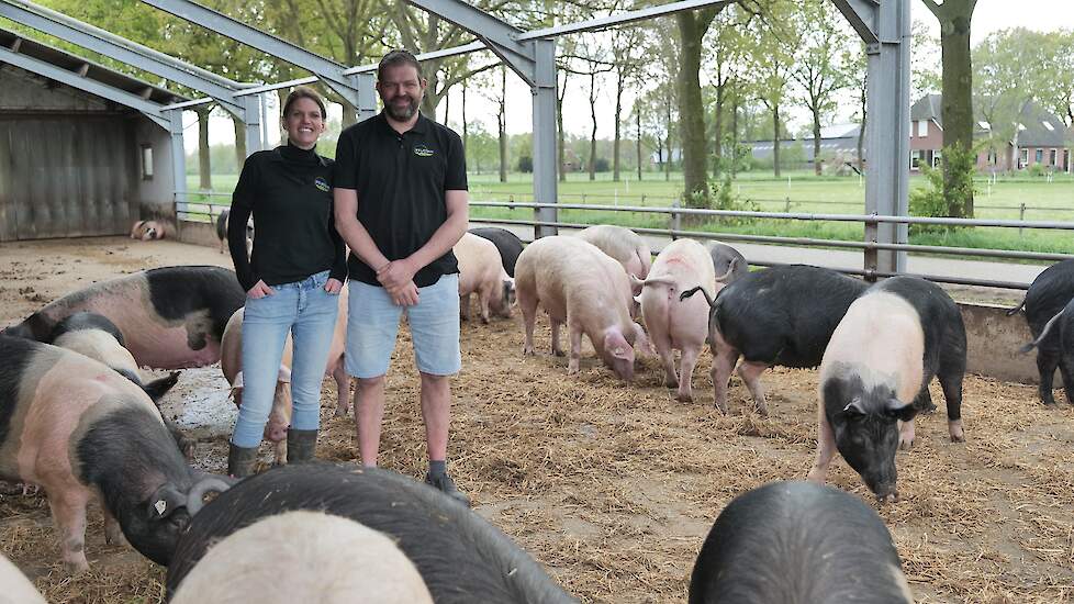 Dit Gelders biologische varkensbedrijf wint Agroscoopbokaal Biologisch: 'We telen ons eigen ...